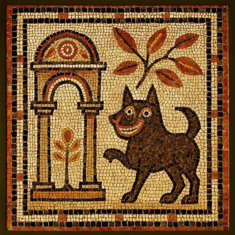 Dogenarii | She-Doge & the Founding of Rome